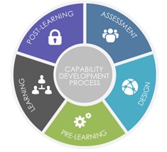 Capability Development Process